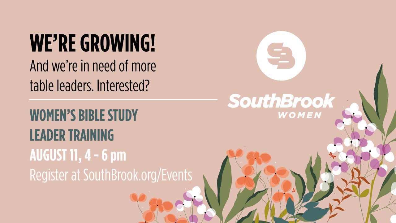 Women - SouthBrook : SouthBrook